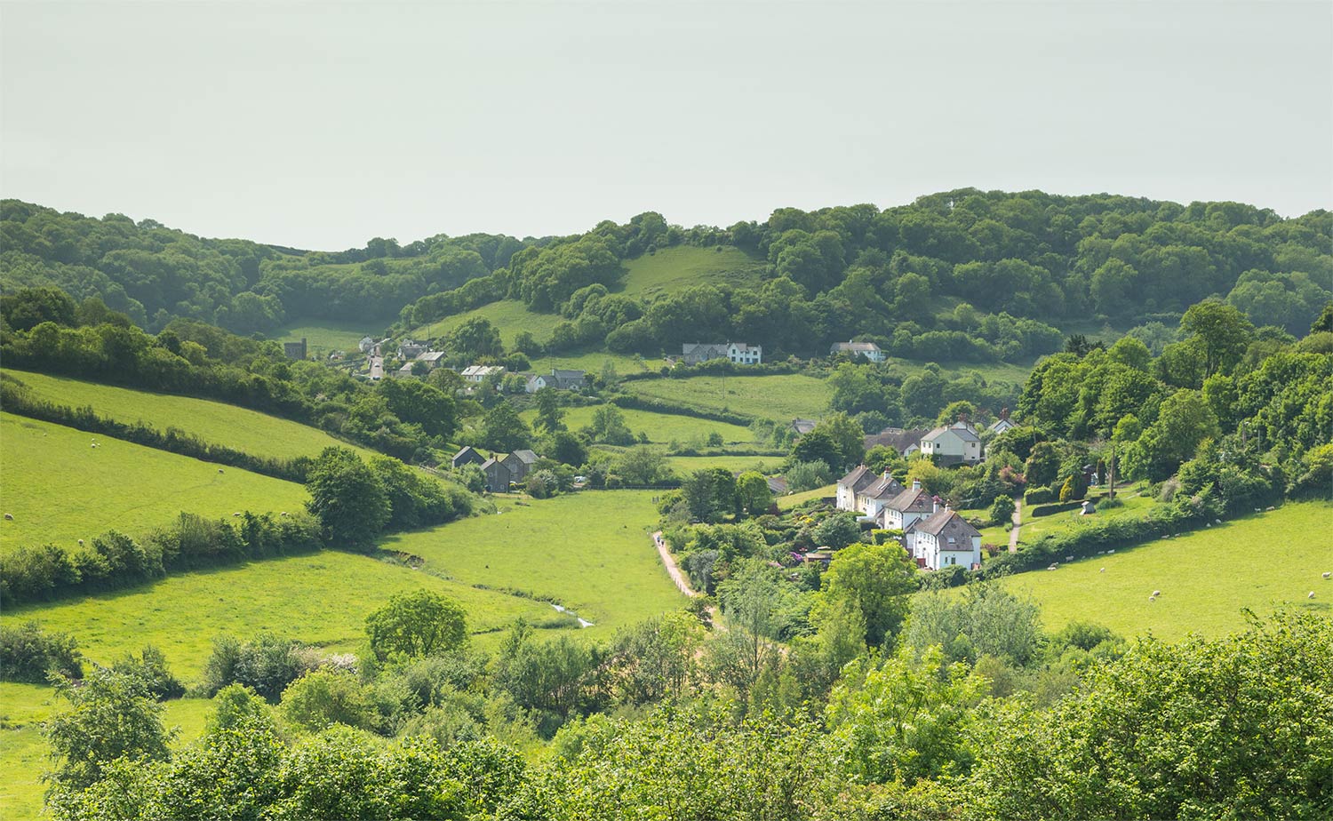 The Masons Arms Pitt Farm Branscombe